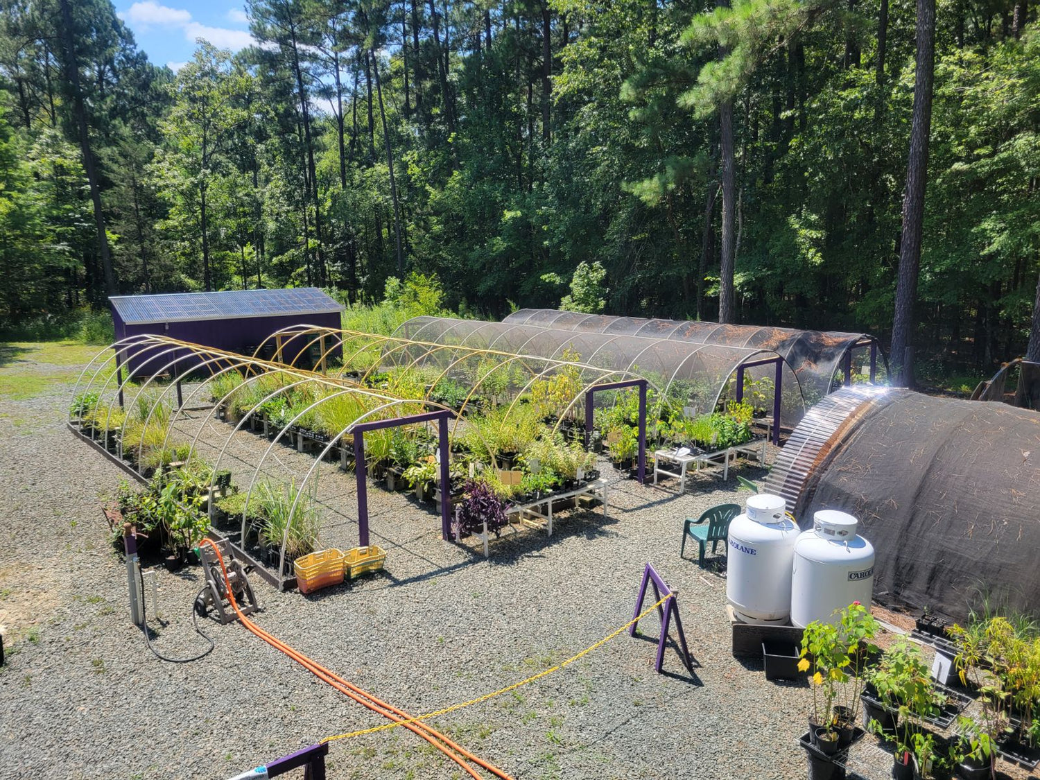 Chapel Hill Plant Nursery Focusing on Native Plants – Carolina Habitats